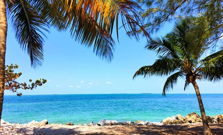 Best Snorkeling in the Florida Keys 🤿 Our 7 Epic Spots